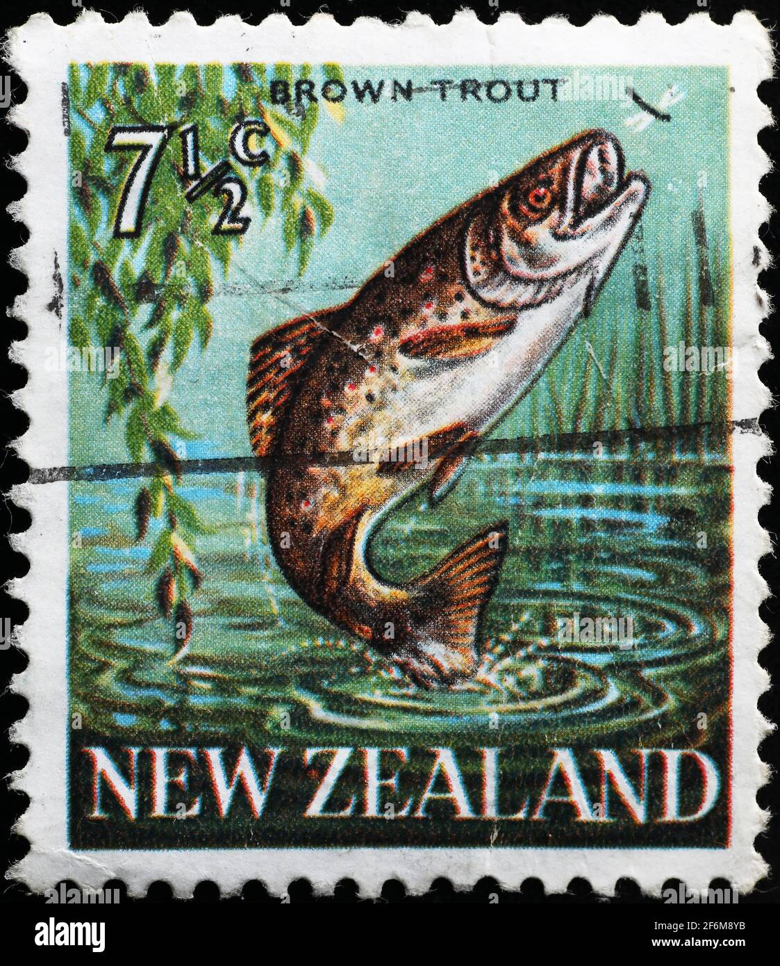 Brown trout on New Zealand postage stamp Stock Photo - Alamy
