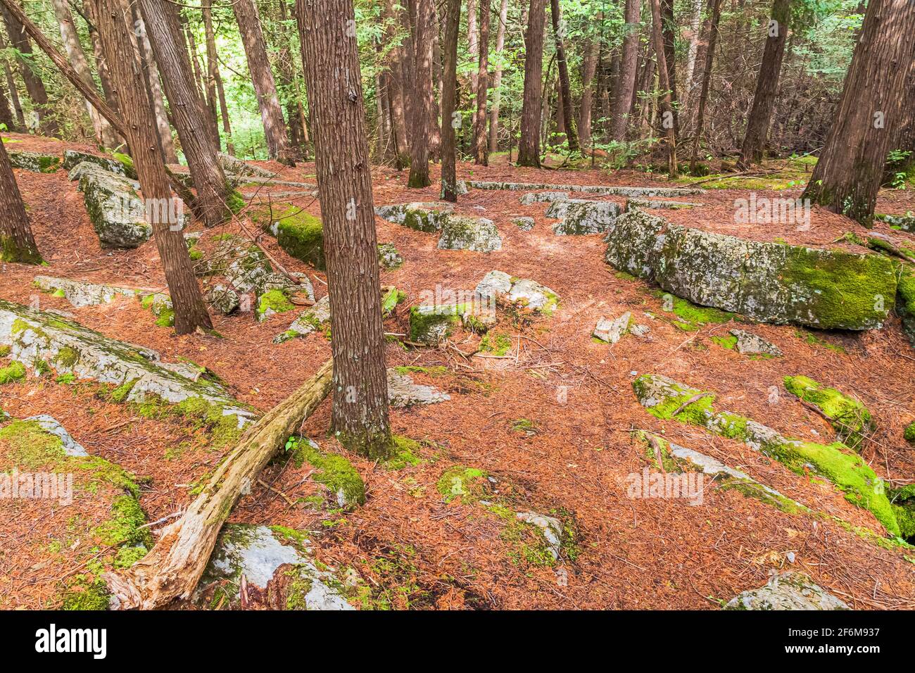 Warsaw Caves Conservation area Dwight Ontario Canada in summer Stock ...