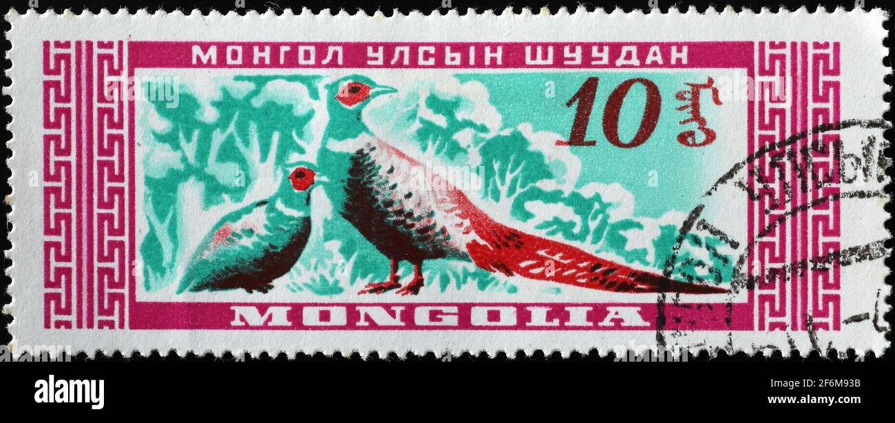Postage stamp mongolia hi-res stock photography and images - Alamy