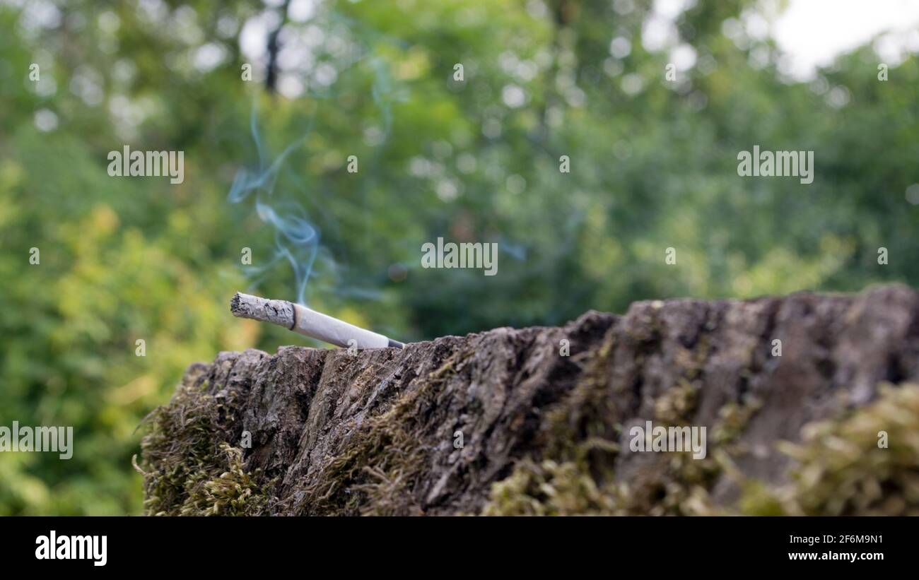 Against tree smoking cigarette hi-res stock photography and images - Alamy