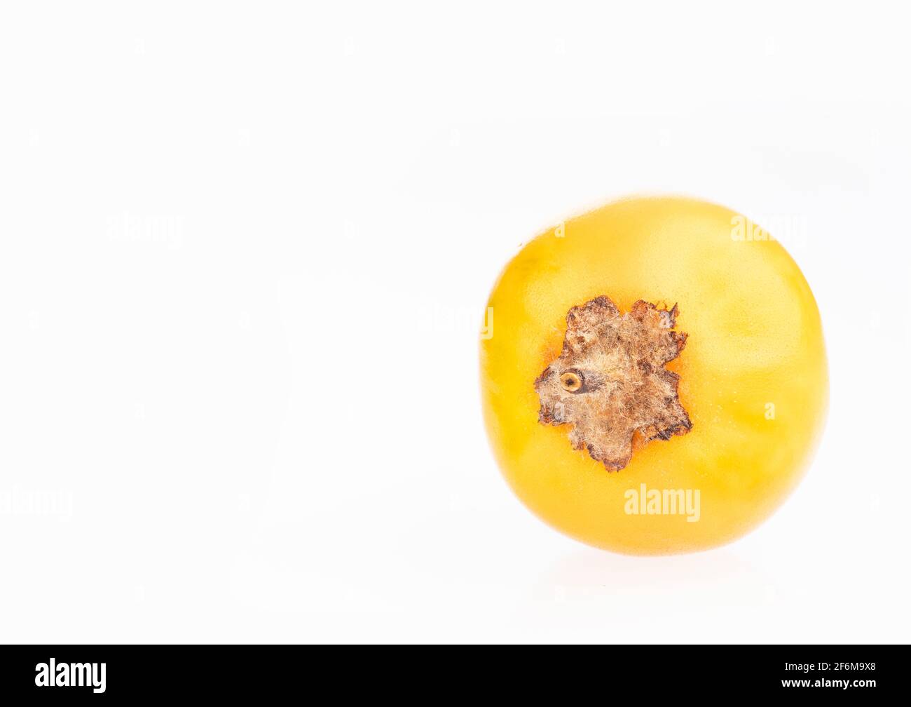 Typical Colombian tropical exotic fruit called lulo - Solanum quitoense ...