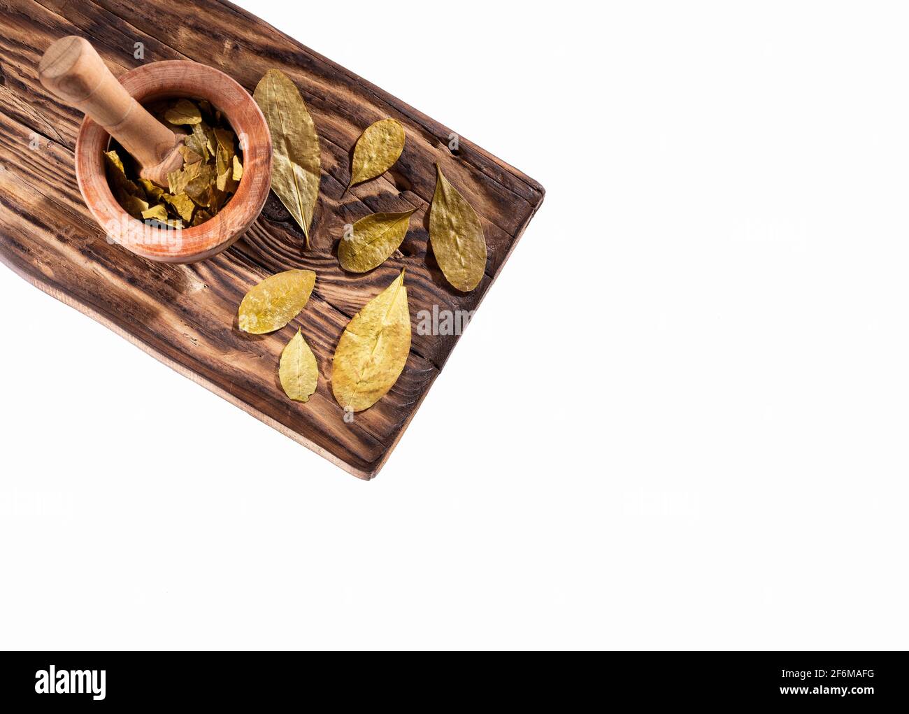 Coca shrub hi-res stock photography and images - Alamy