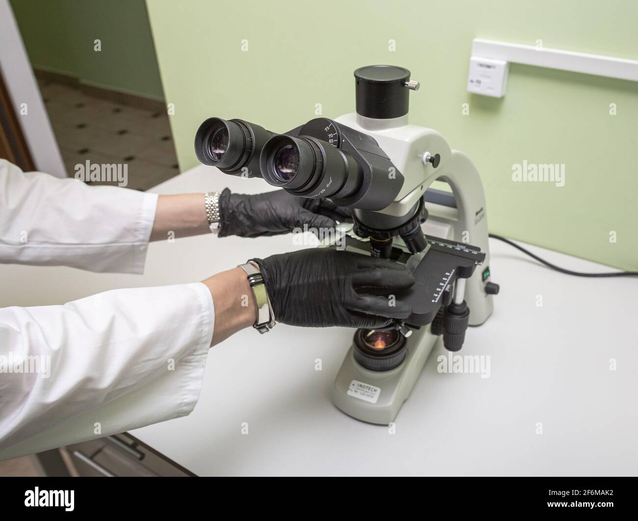 Lab study hi-res stock photography and images - Alamy