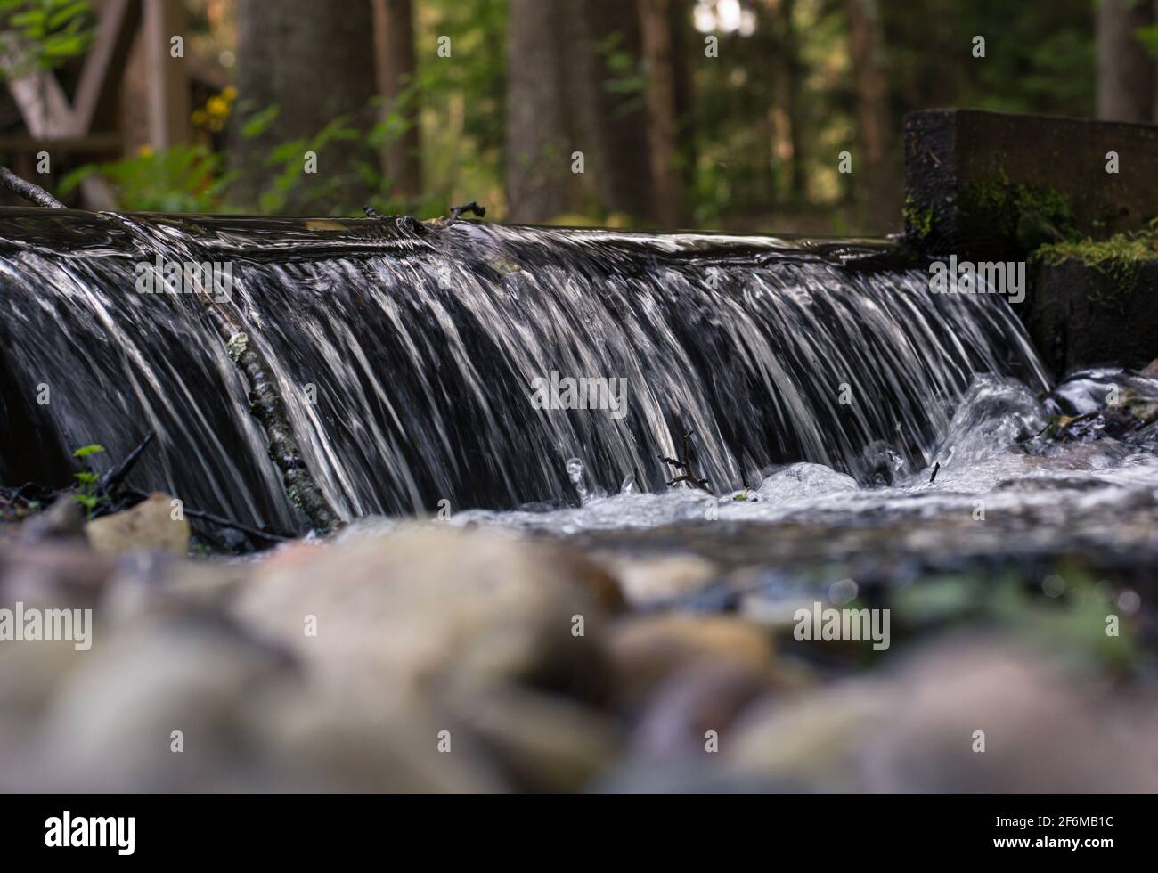 small forest waterfall with clear water Stock Photo - Alamy