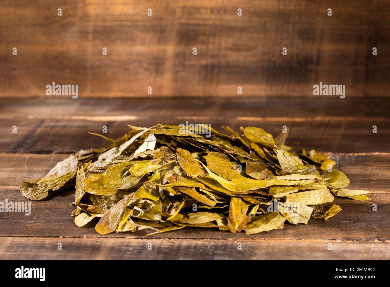 Coca shrub hi-res stock photography and images - Alamy