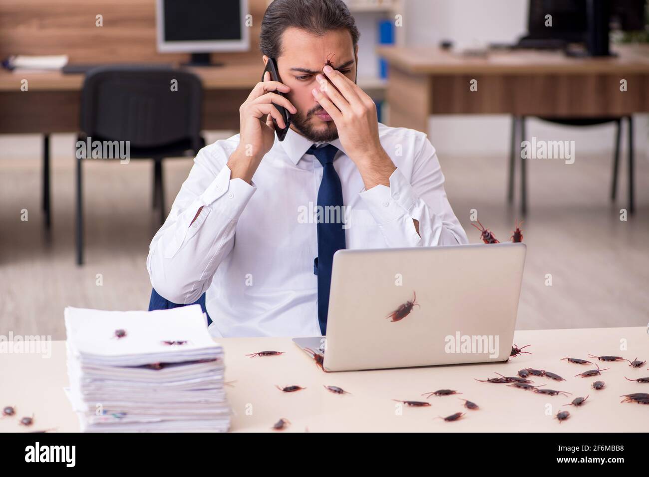 Young businessman employee and too many cockroaches in the office Stock ...