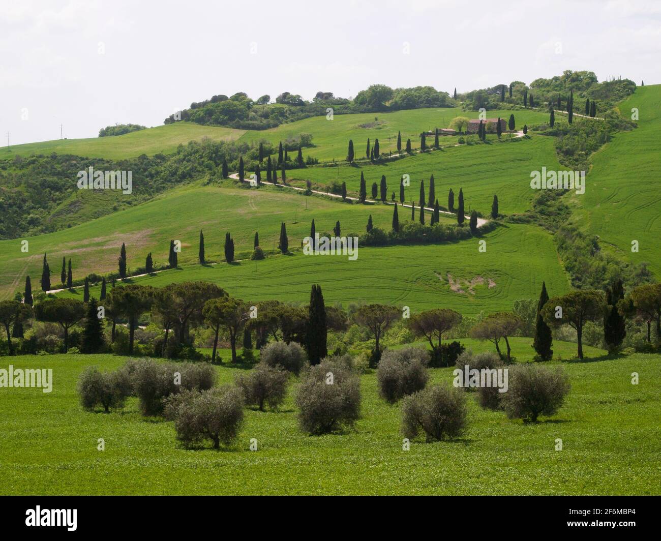 Italy landscape spring hi-res stock photography and images - Alamy
