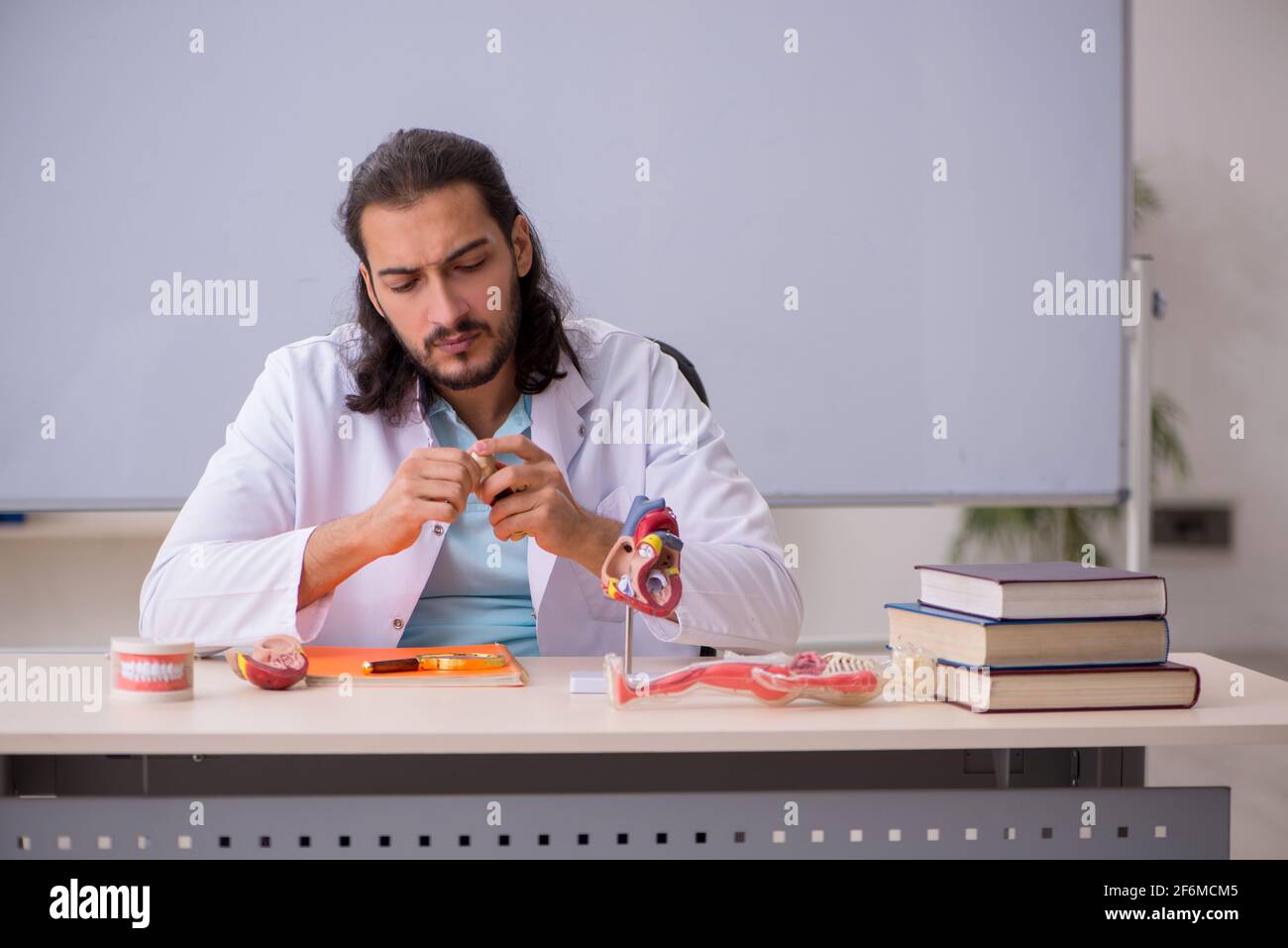 Young student studying human anatomy Stock Photo - Alamy