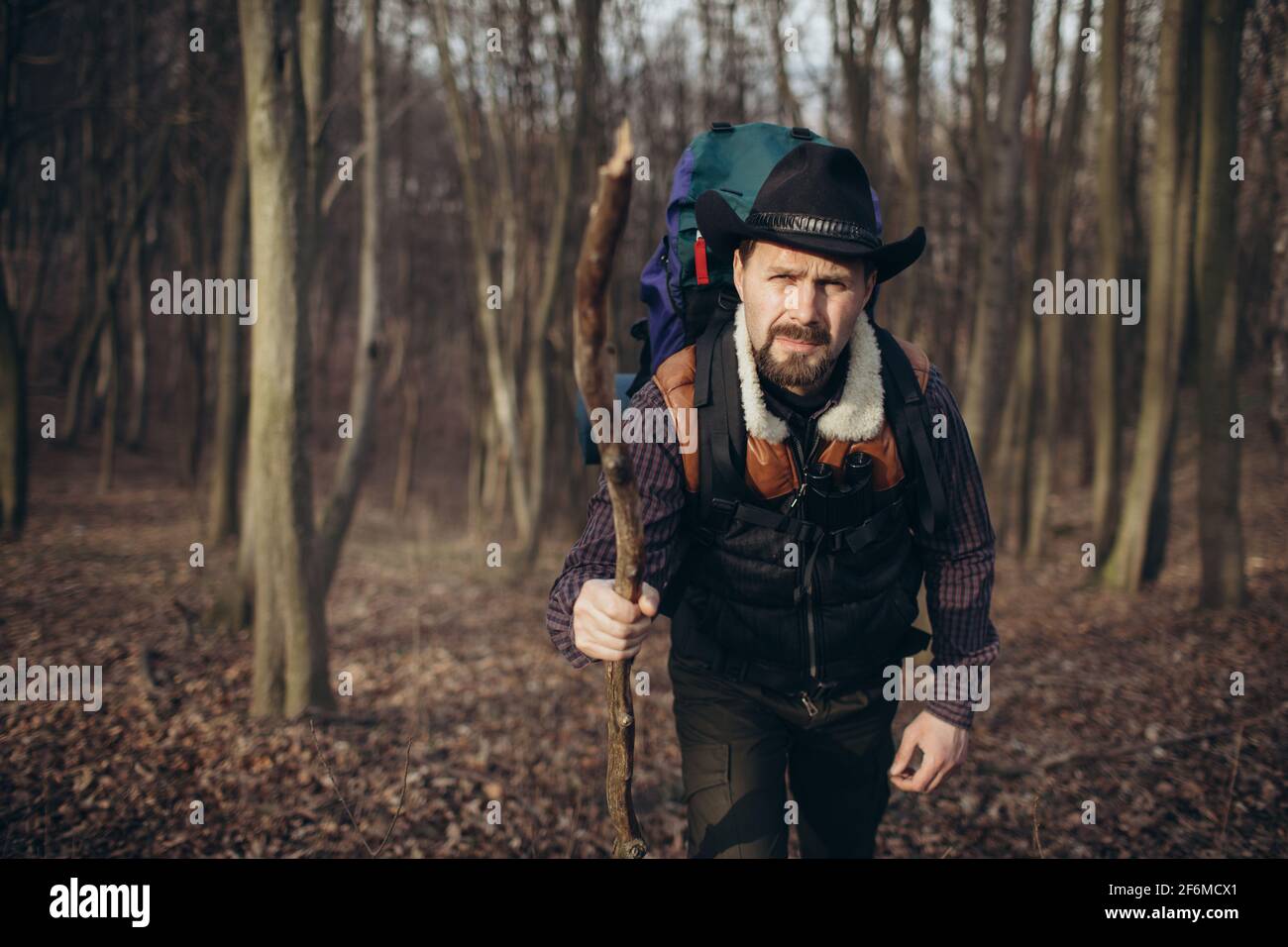 Man hiking alone at forest Stock Photo - Alamy