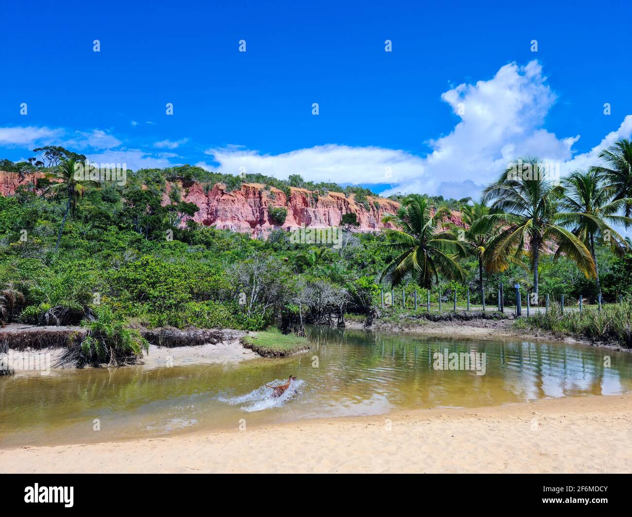 Arraial dajuda district brazilian hi-res stock photography and images ...