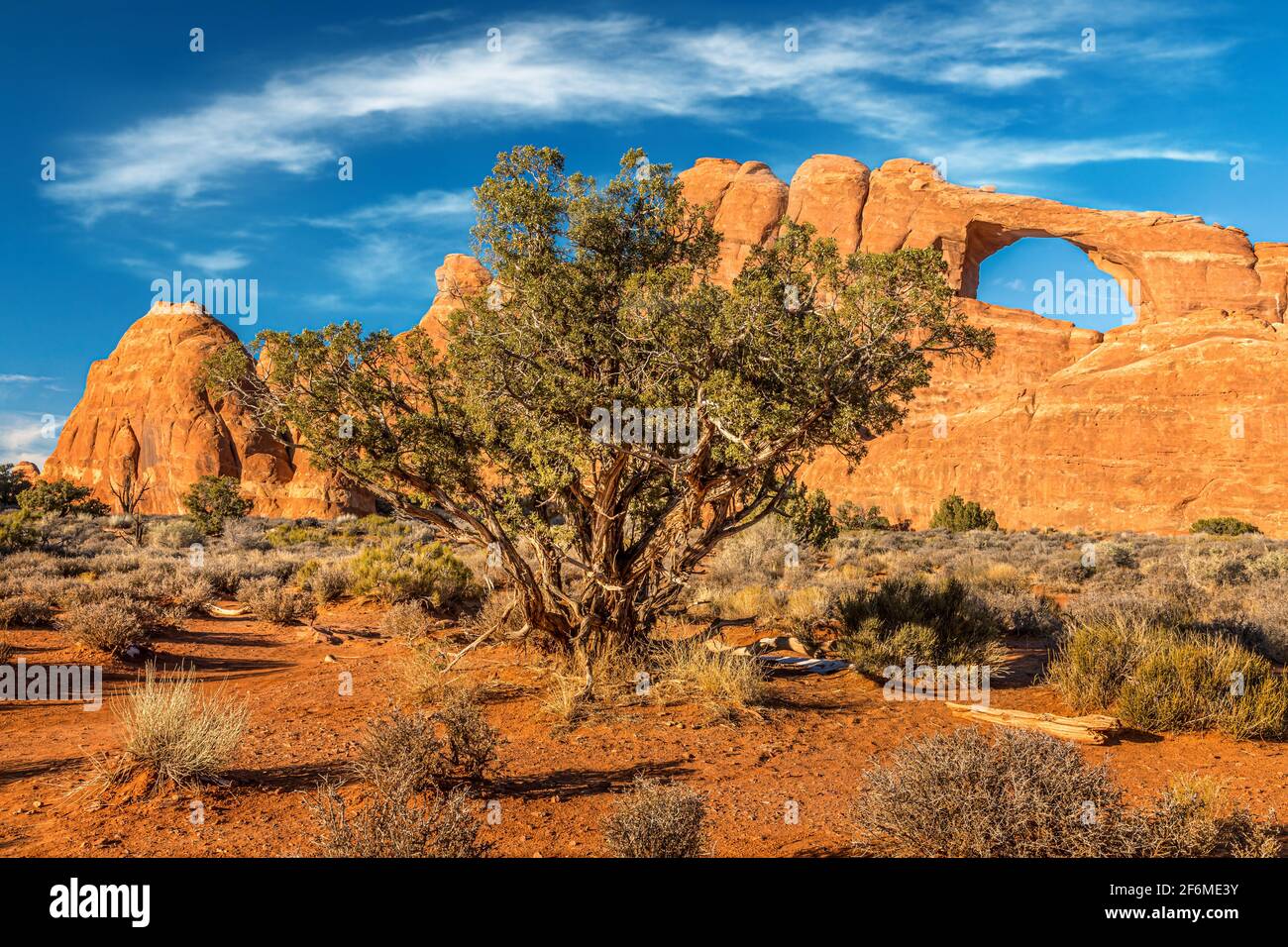 The famous Skyline Arch in the Arches National Park, Utah Stock Photo ...