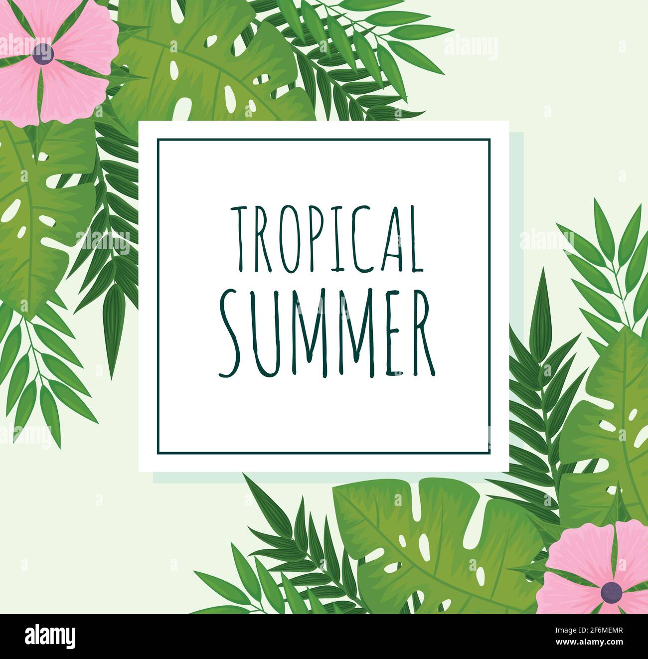 tropical summer label Stock Vector Image & Art - Alamy