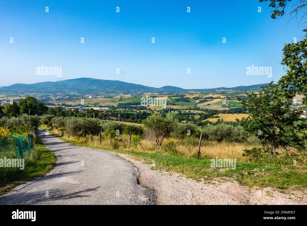 A country road in the Umbrian countryside between the towns of Assisi ...