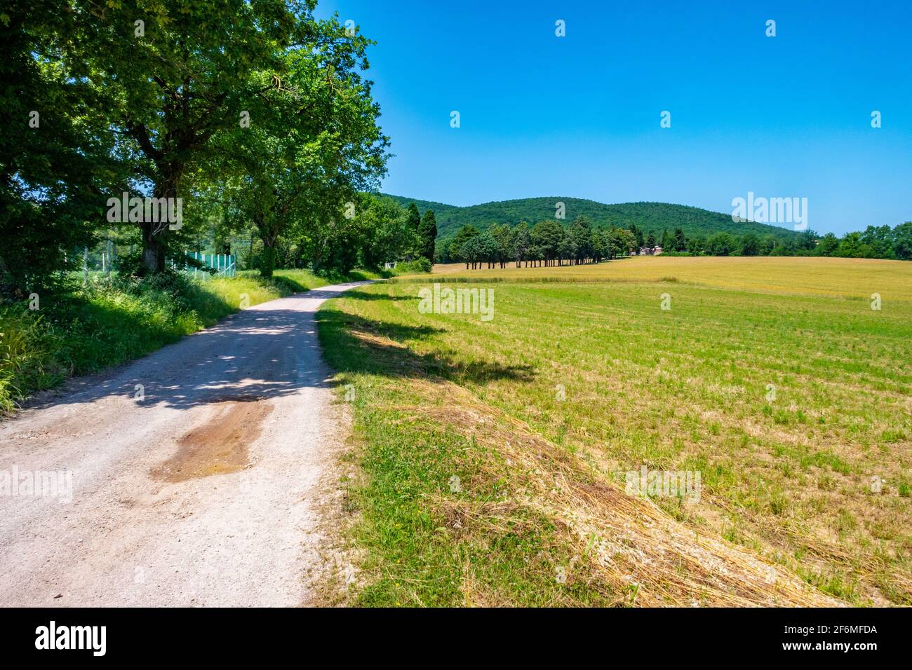 A country road in the Umbrian countryside between the towns of Assisi ...