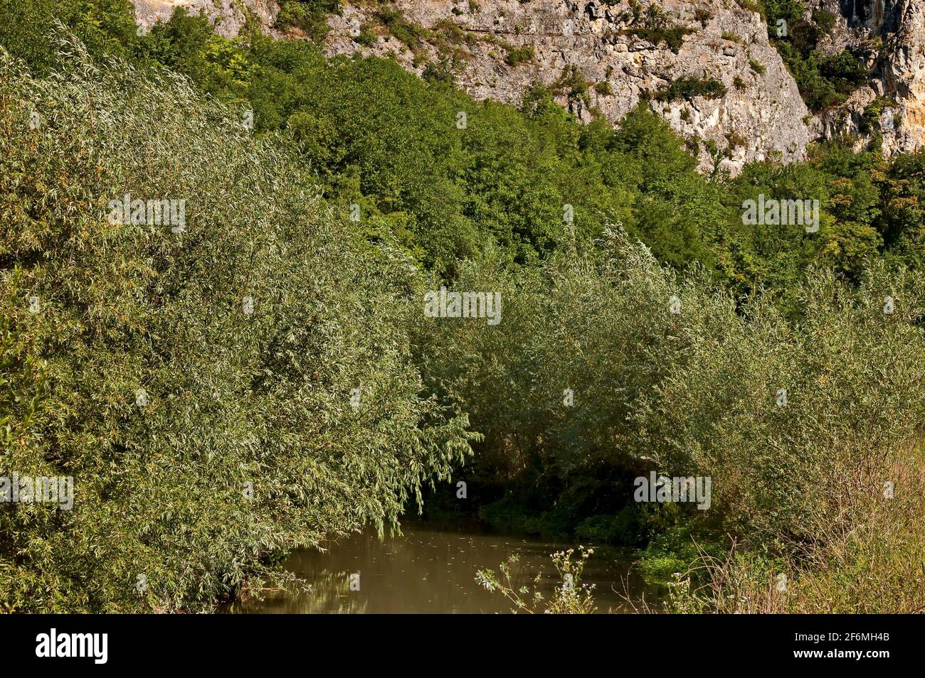 View of beli hi-res stock photography and images - Alamy