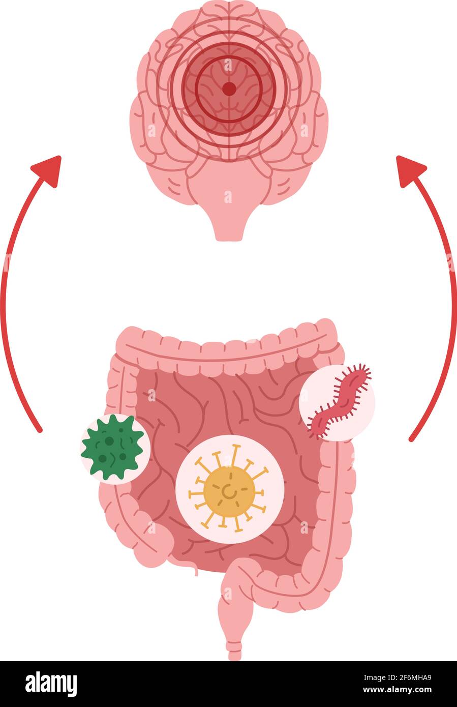 Poor intestinal health as a result of exposure to microorganisms leads ...