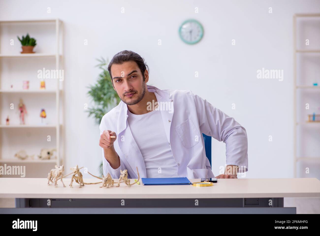 Rat man lab hi-res stock photography and images - Alamy