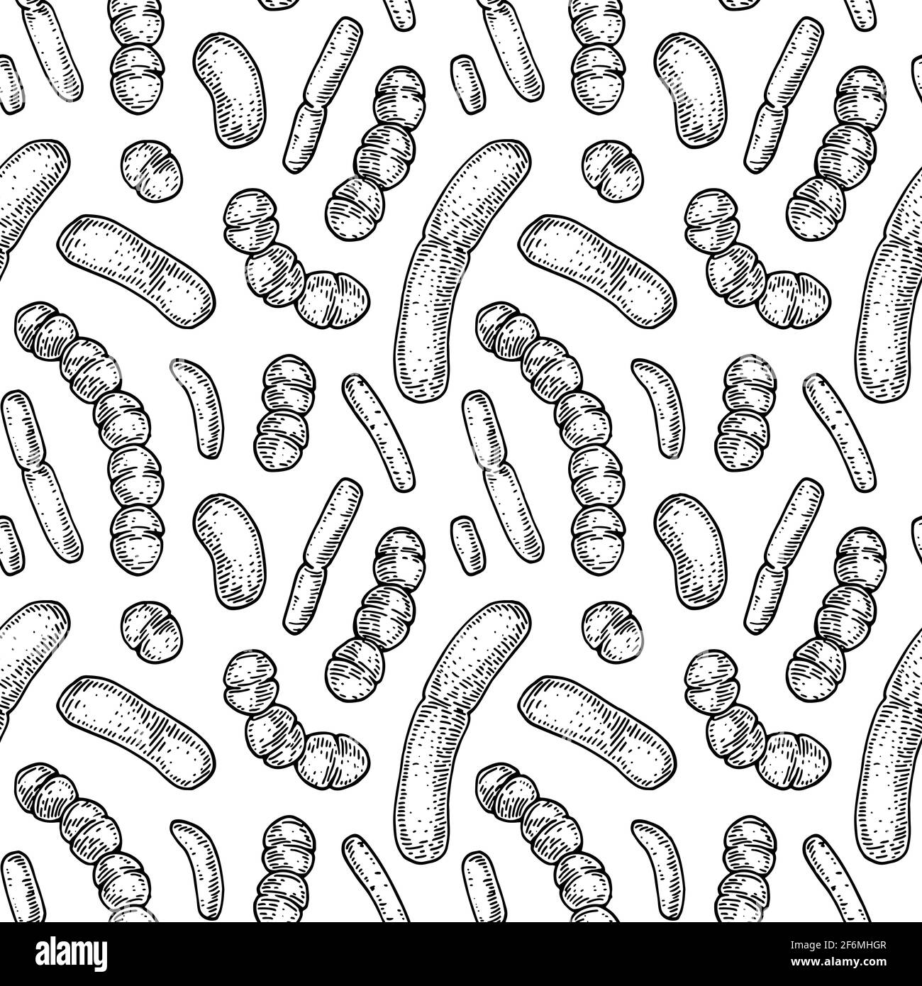 Bacterium seamless pattern in realistic sketch stile. Hand drawn ...