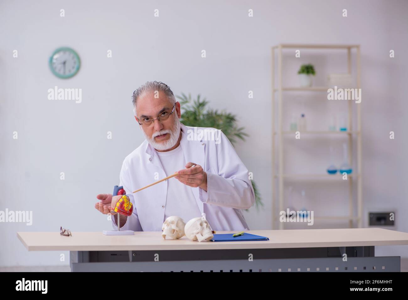 Old cardiologist explaining human heart structure Stock Photo - Alamy