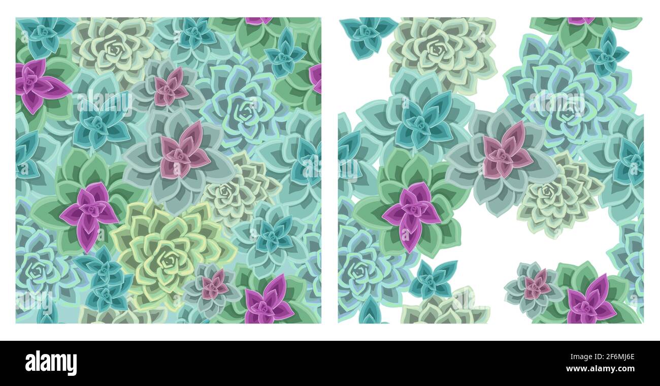 Seamless background with succulents. Vector floral illustration Stock ...