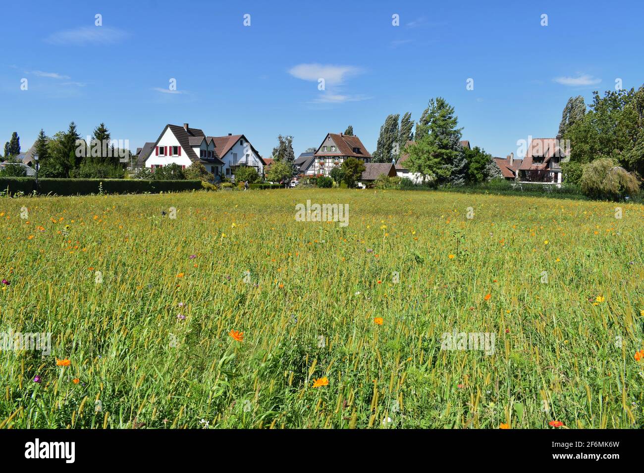 The Abbey Church of St Mary and Mark in Reichenau Mittelzel Stock Photo ...