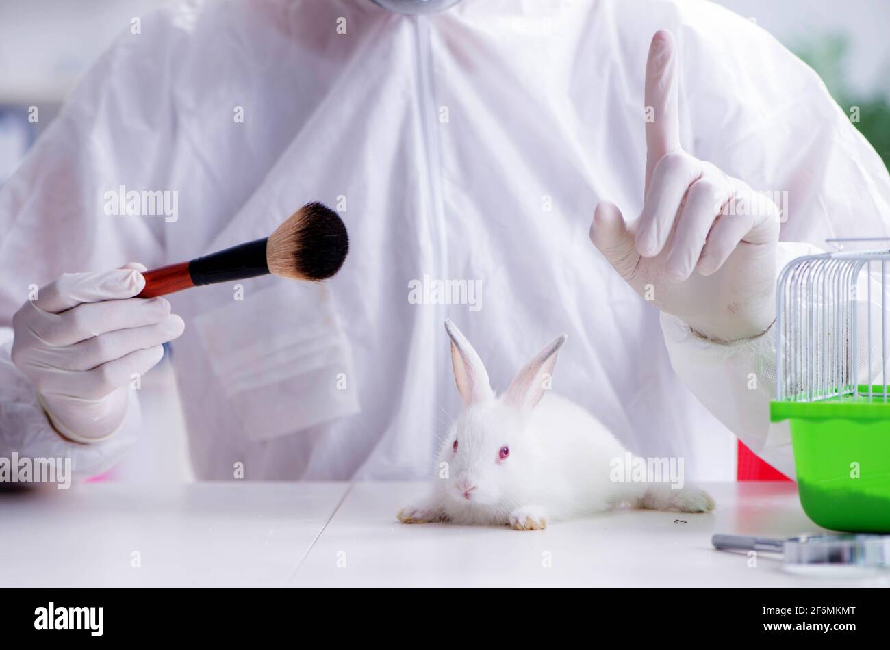 The white rabbit in scientific lab experiment Stock Photo - Alamy