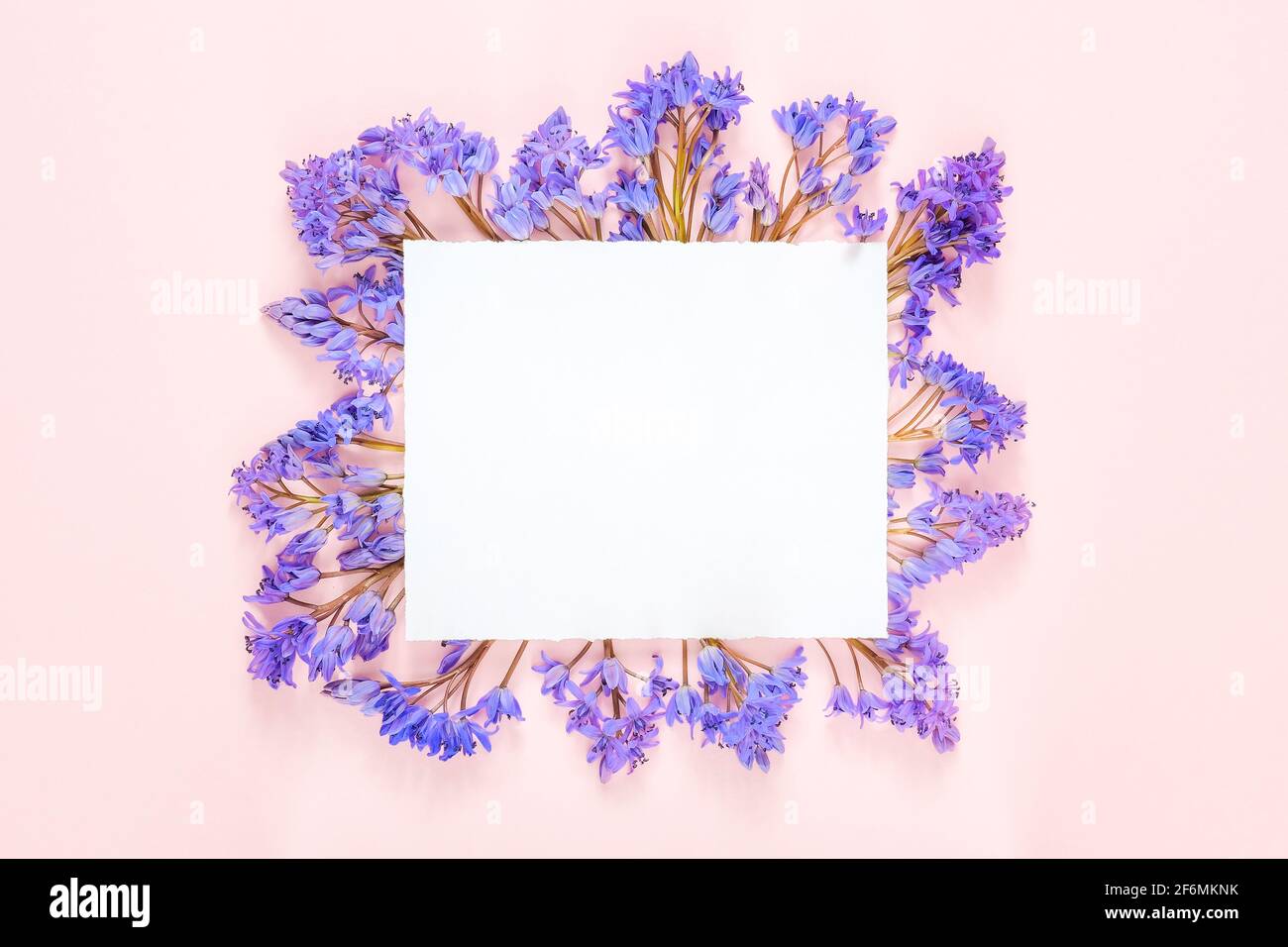 Frame made blank card hi-res stock photography and images - Alamy