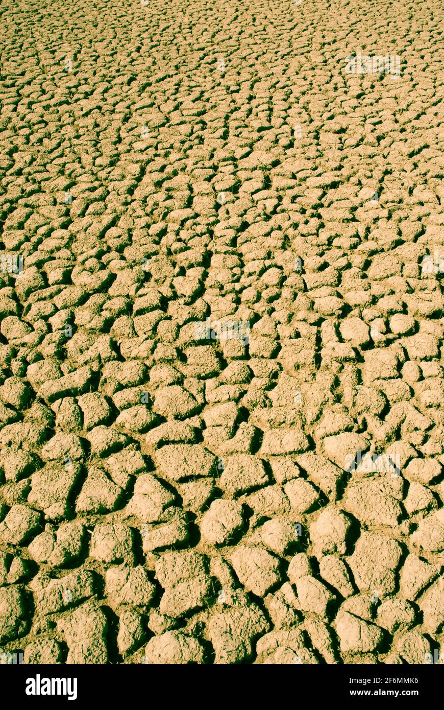 Cracked soil texture in the desert, La pampa Province, Patagonia ...