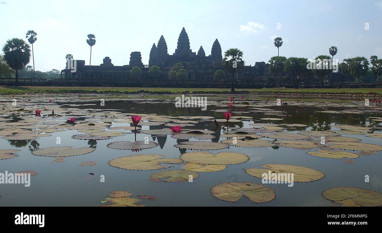 CAMBODIA MAY 2005 ANGKOR WAT LOTUS FLOWERS GROW IN THE POND UNDER THE ...