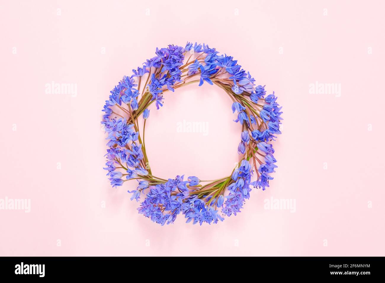 Round frame, wreath made with snowdrop flowers Stock Photo - Alamy