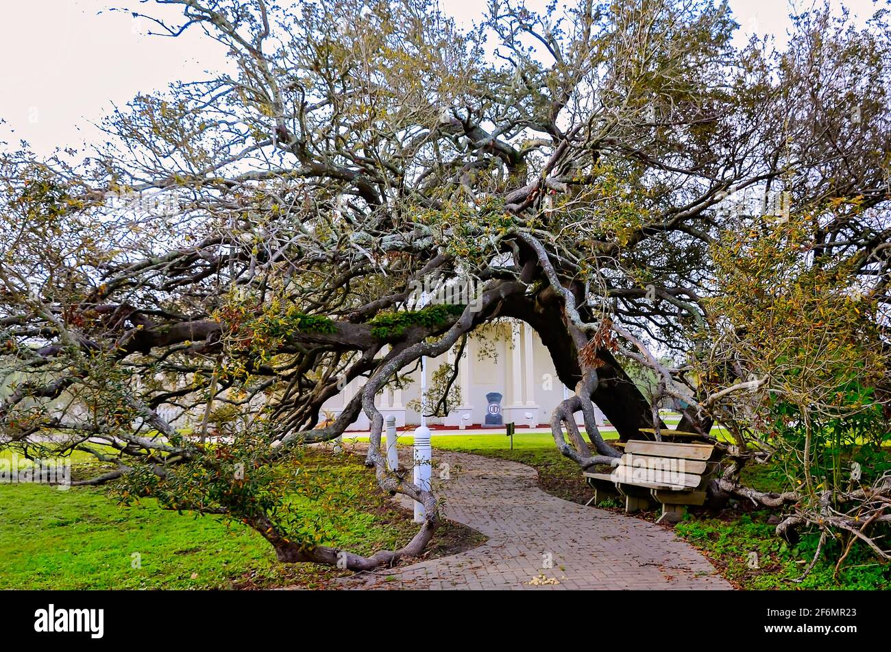 Jeffersn davis presidential library and museum hi-res stock photography ...