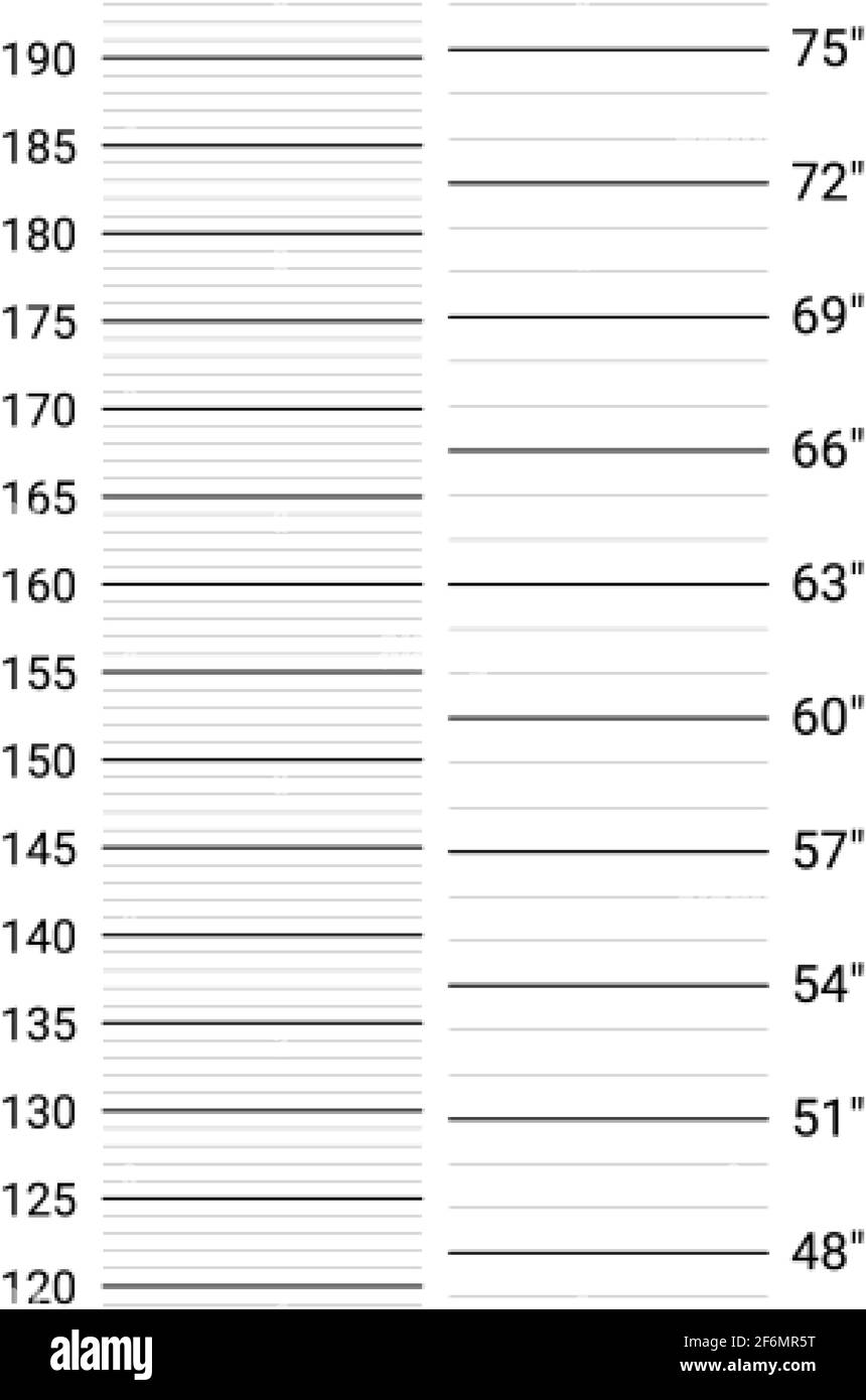 Mugshot background. Police lineup wall with both metric and imperial ...