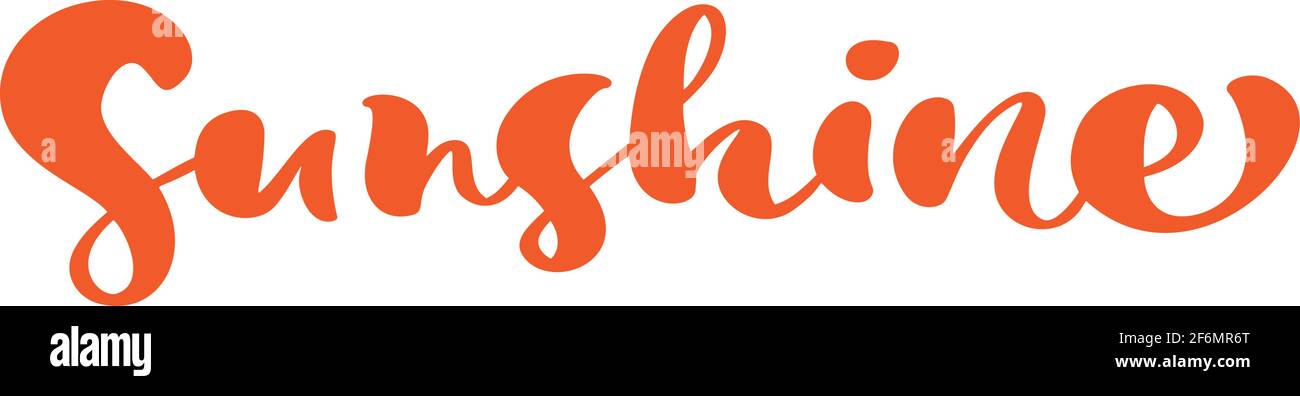 Vector lettering Calligraphy text Sunshine. Summer Hand Drawn Isolated ...