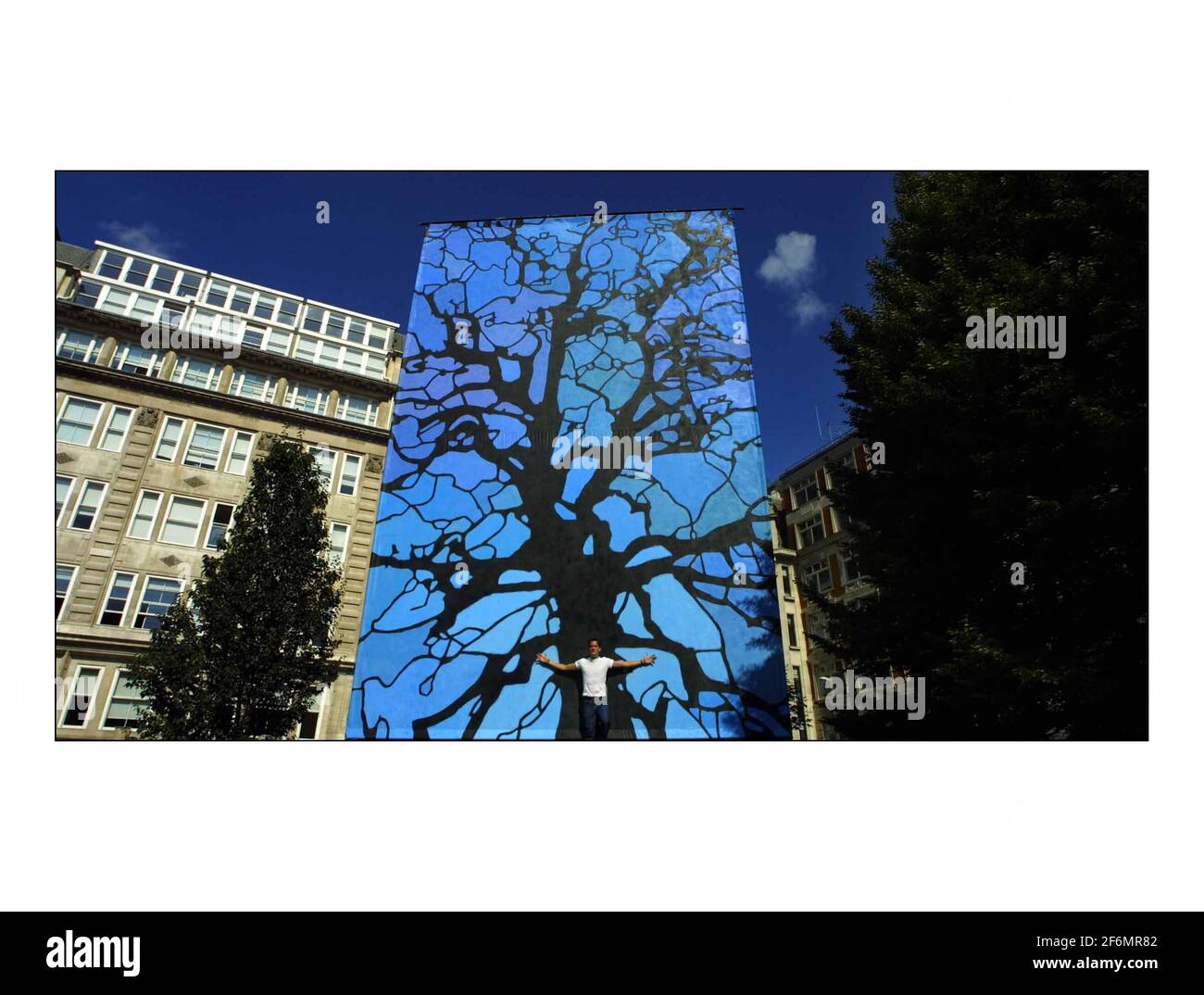 Contemporary British artist Adam Ball presents The Tree one of the ...
