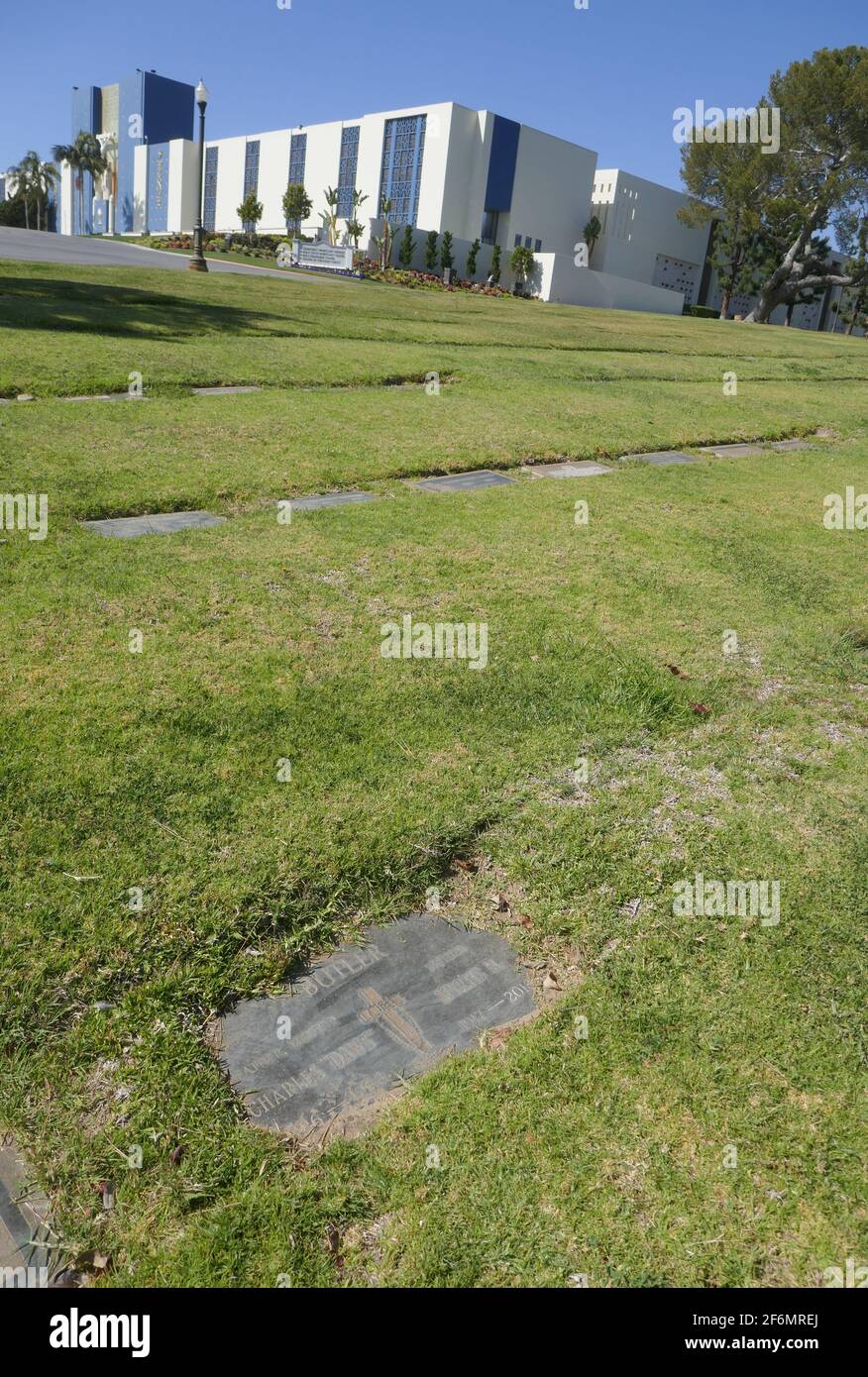 Yogi bear cartoons hi-res stock photography and images - Alamy