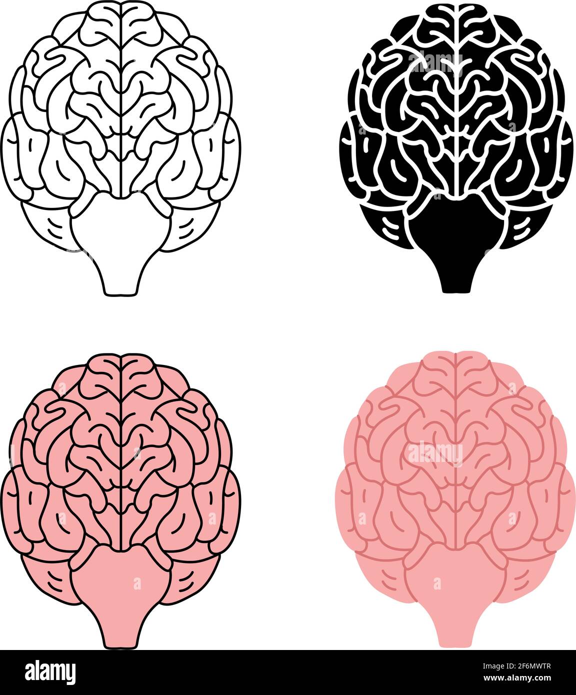 Healthy human brain front view vector illustration isolated on white ... Healthy human brain front view vector illustration isolated on white ...