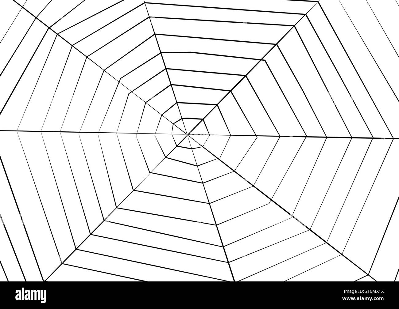 Spider Web Drawing With Spider