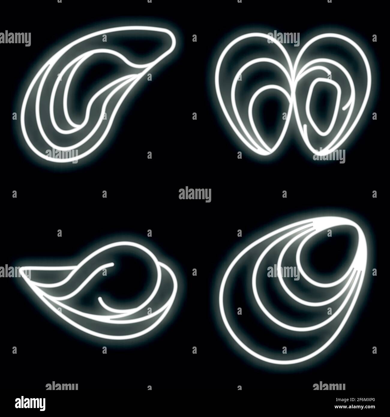 Freshwater mussel illustration hi-res stock photography and images - Alamy