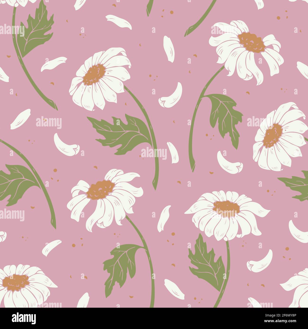 Daisy flower petals falling Stock Vector Images - Alamy