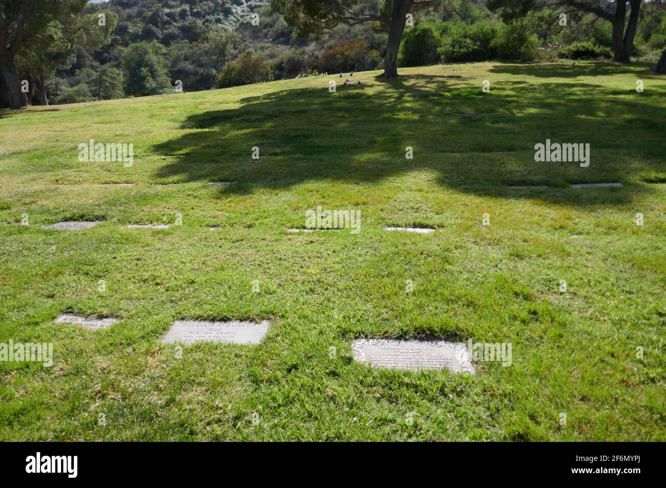 Tim burtons father hi-res stock photography and images - Alamy