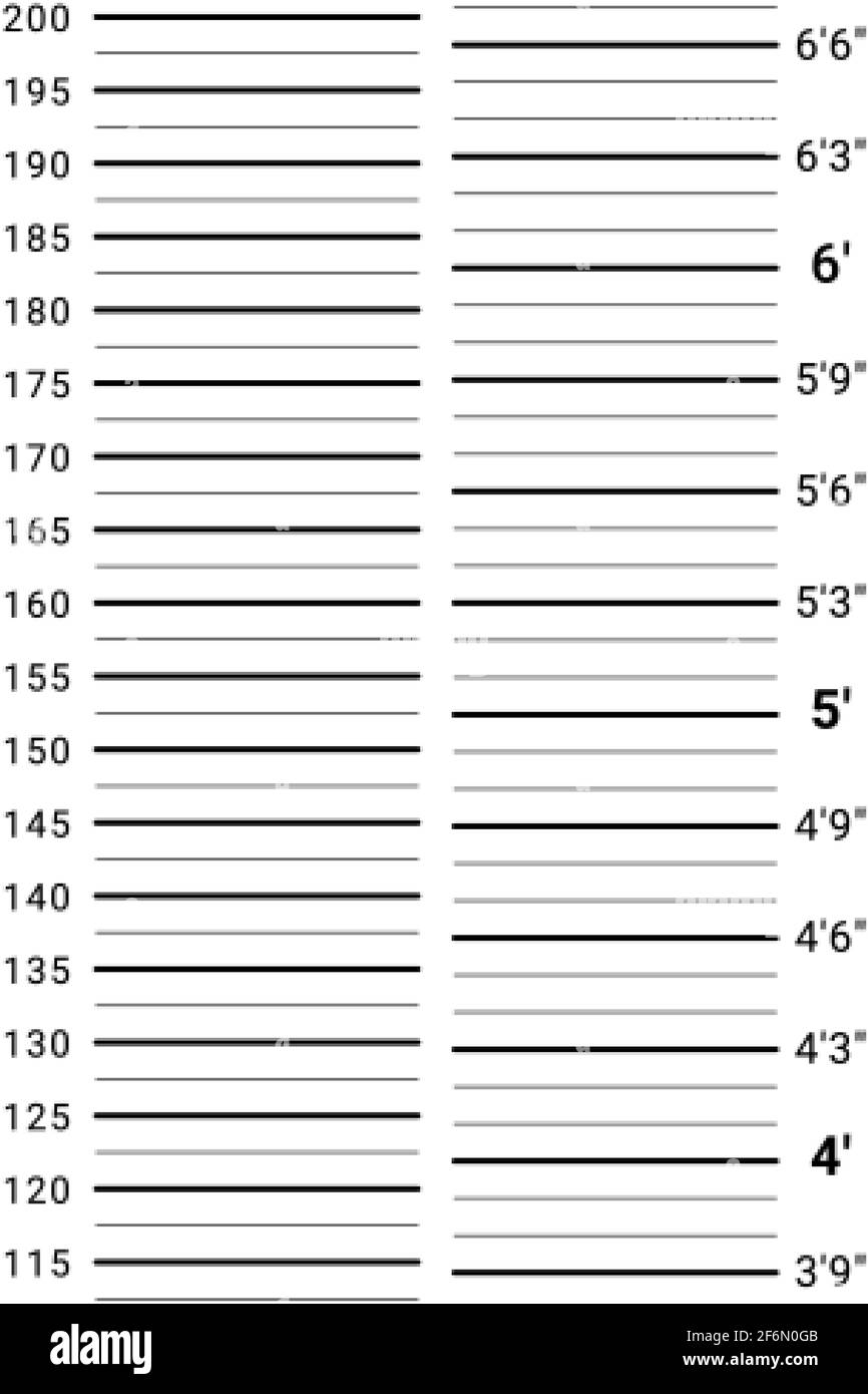 Police mugshot mugshot. Mug shot template. Identity parade background ...