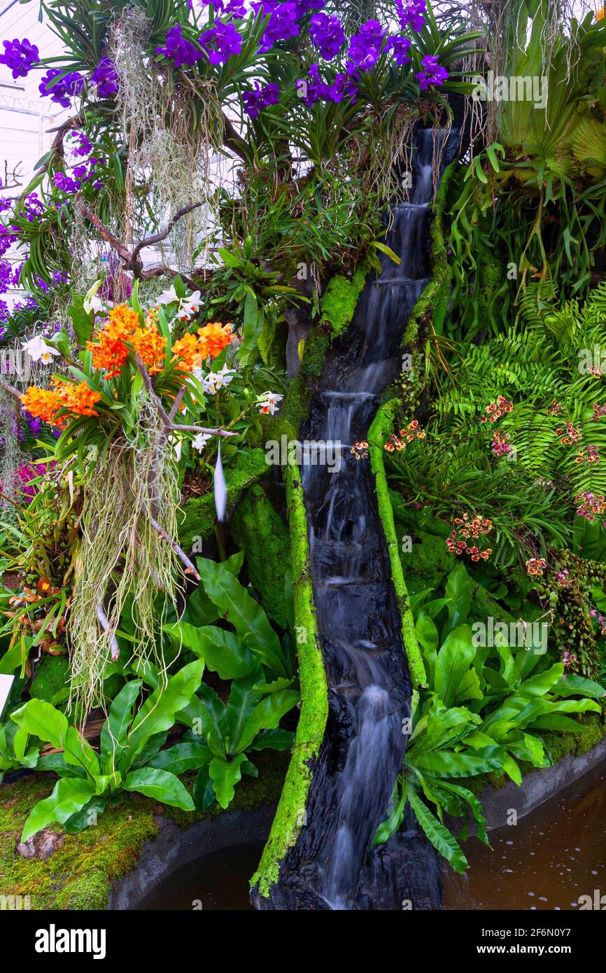 Waterfall in garden,Orchid garden. Beautiful flower garden. beautiful ...