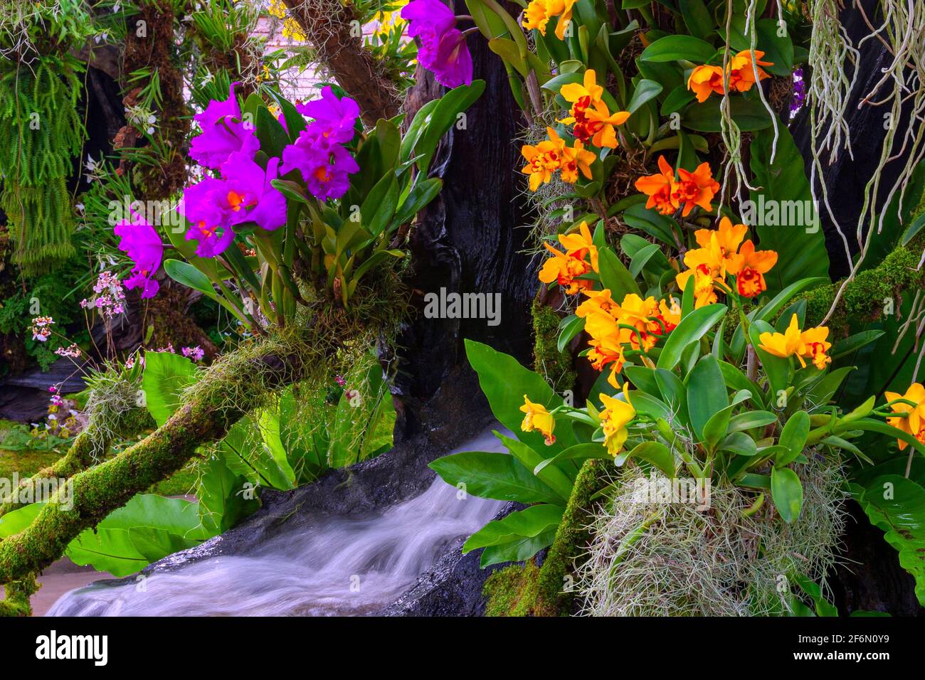 Waterfall in garden,Orchid garden. Beautiful flower garden. beautiful ...