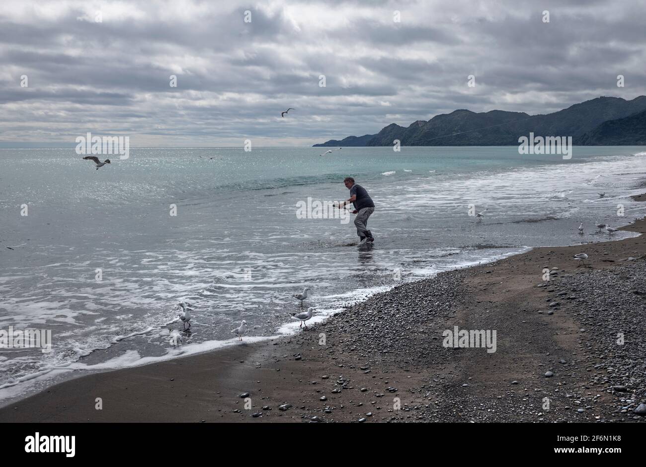 A road trip around the east coast of the North Island of New Zealand ...