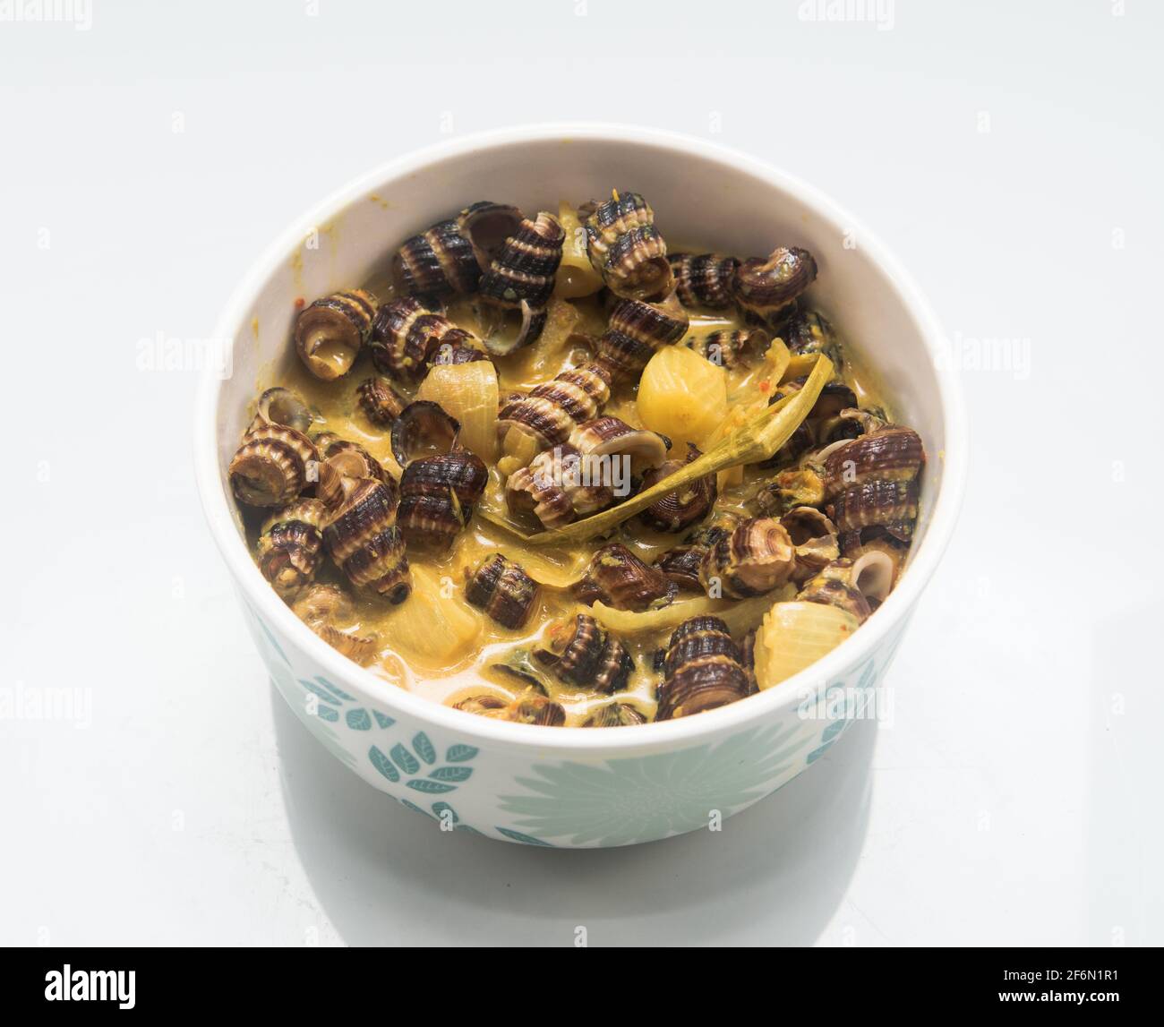 Sea snail traditional Malay dishes in coconut cream or ' Siput sedut ...