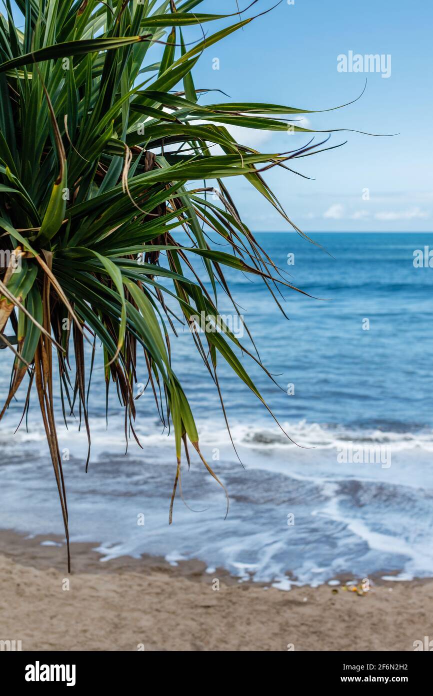 Batu Belig beach (Pantai Batu Belig), Badung, Bali, Indonesia. Grey ...