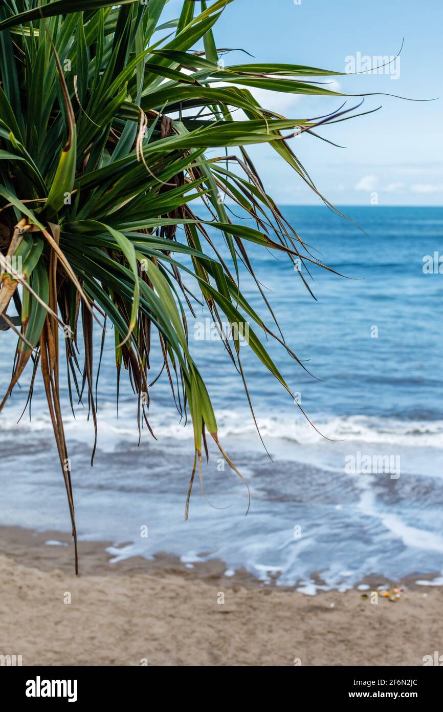 Batu Belig beach (Pantai Batu Belig), Badung, Bali, Indonesia. Grey ...