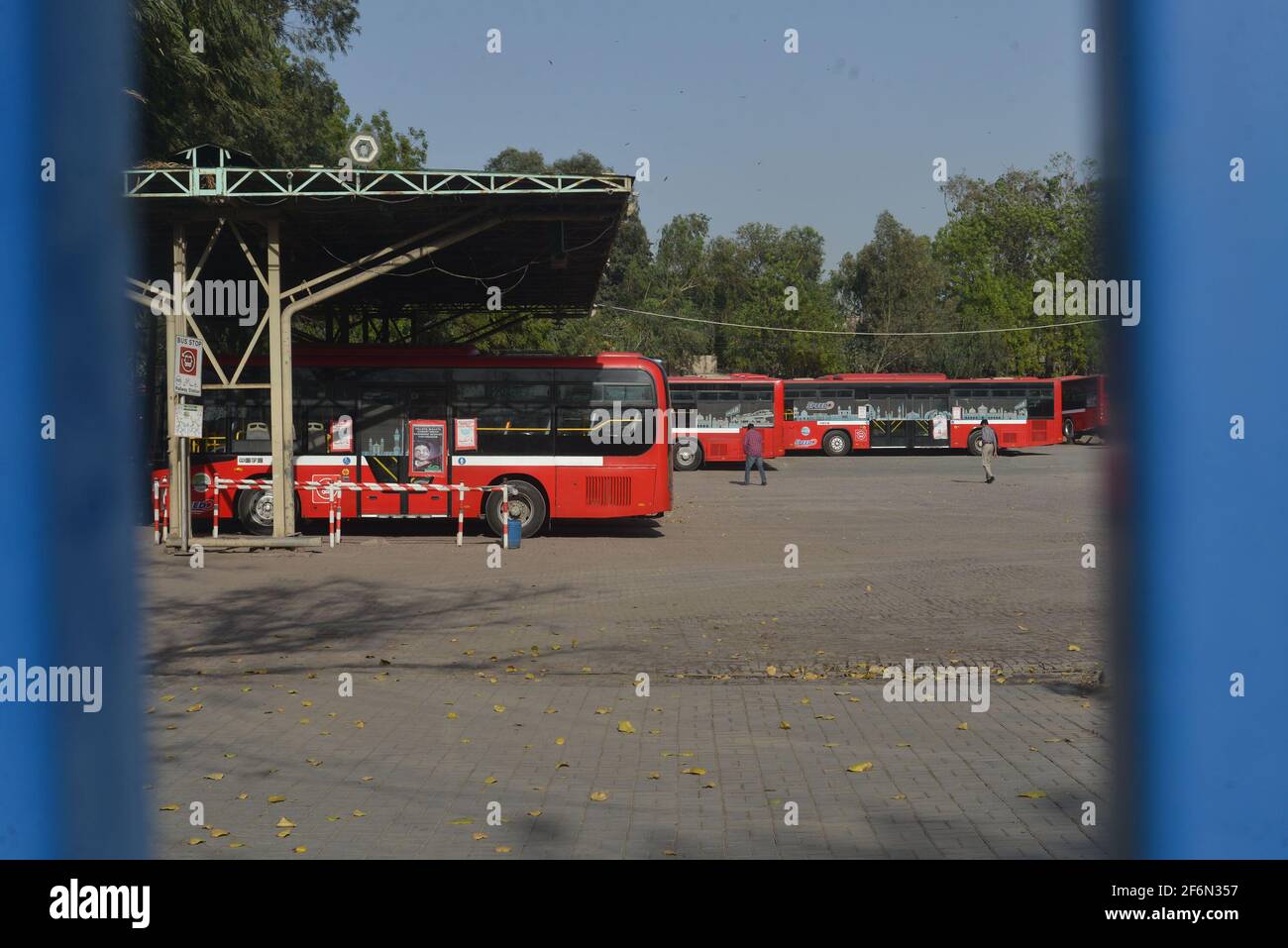 Speedo buses hi-res stock photography and images - Alamy
