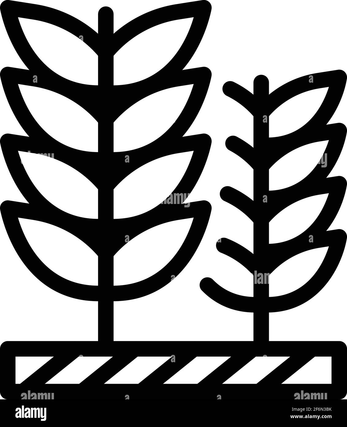 Wheat plant icon. Outline Wheat plant vector icon for web design ...