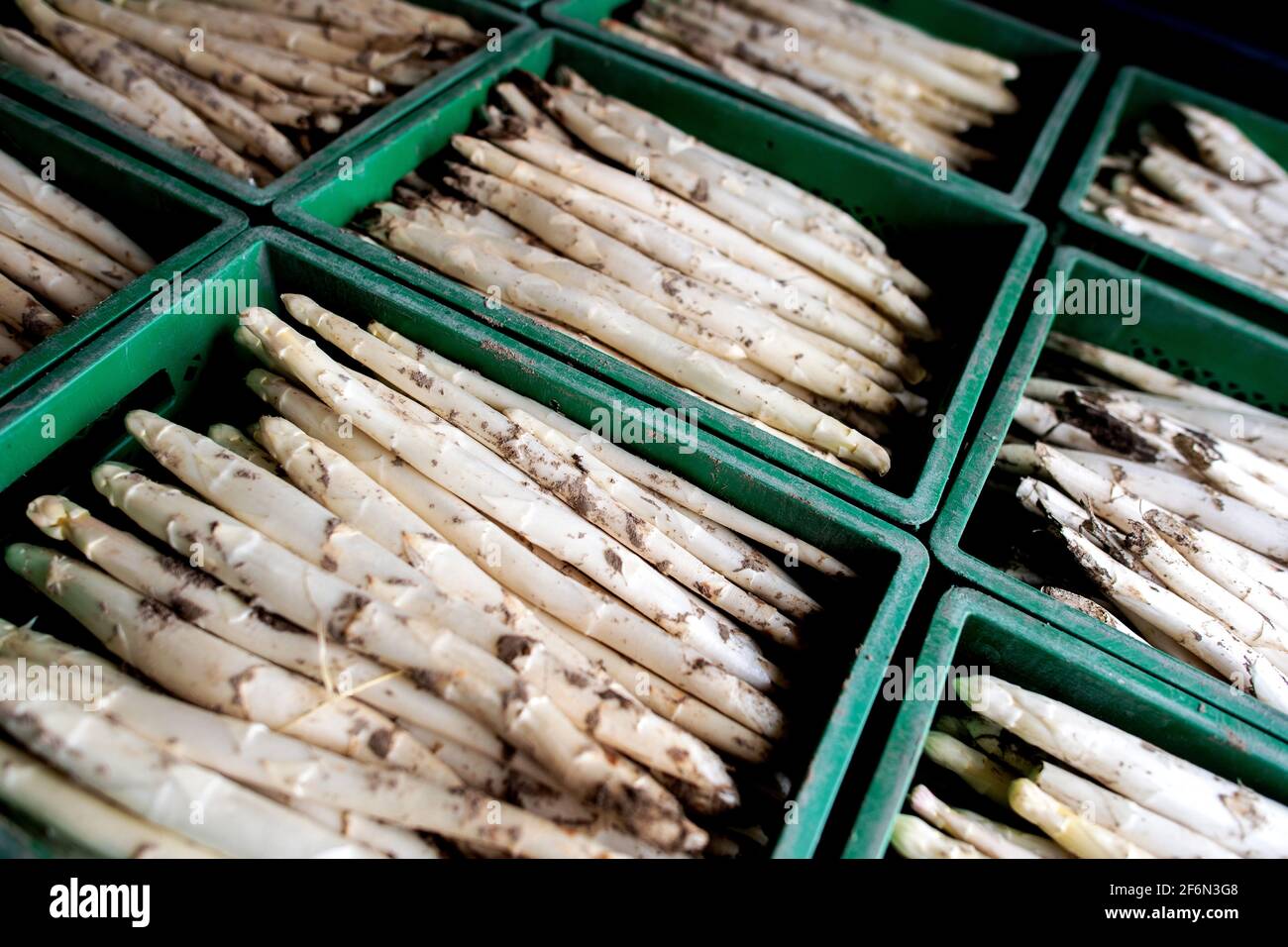 Bassum, Germany. 01st Apr, 2021. Boxes of freshly cut asparagus stand ...